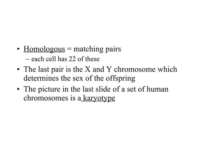 Meiosis review | PPT