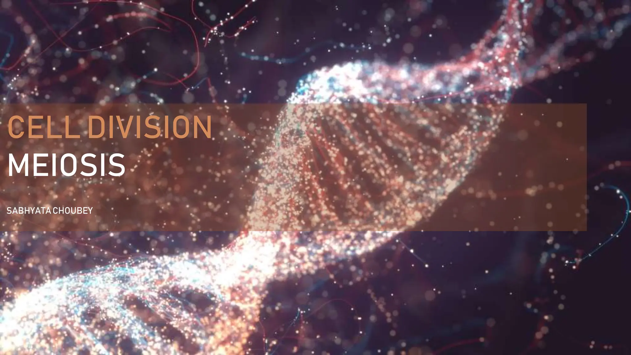 Cell cycle and cell division part 1 (meiosis) | PPT