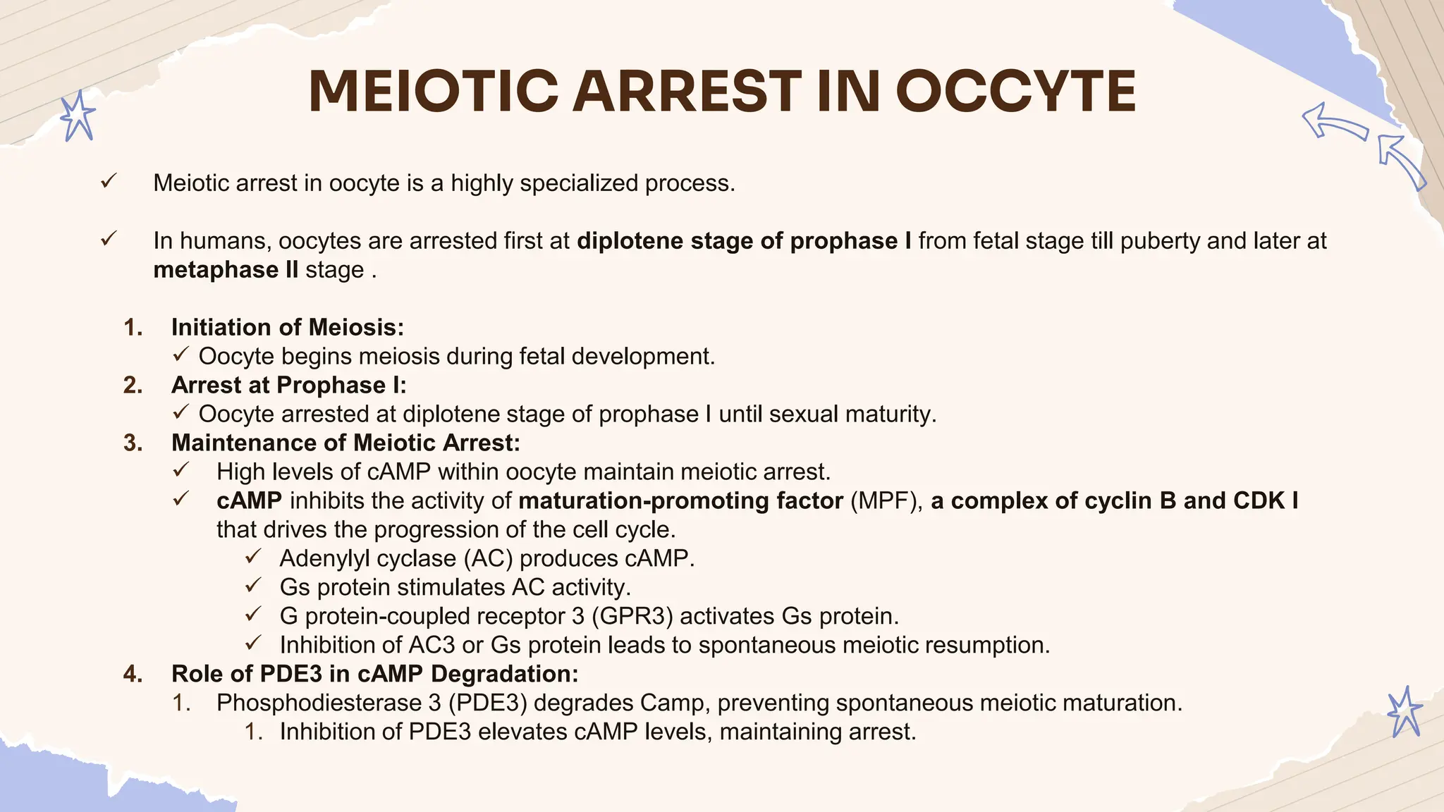 Cell cycle and cell division part 1 (meiosis) | PPTX