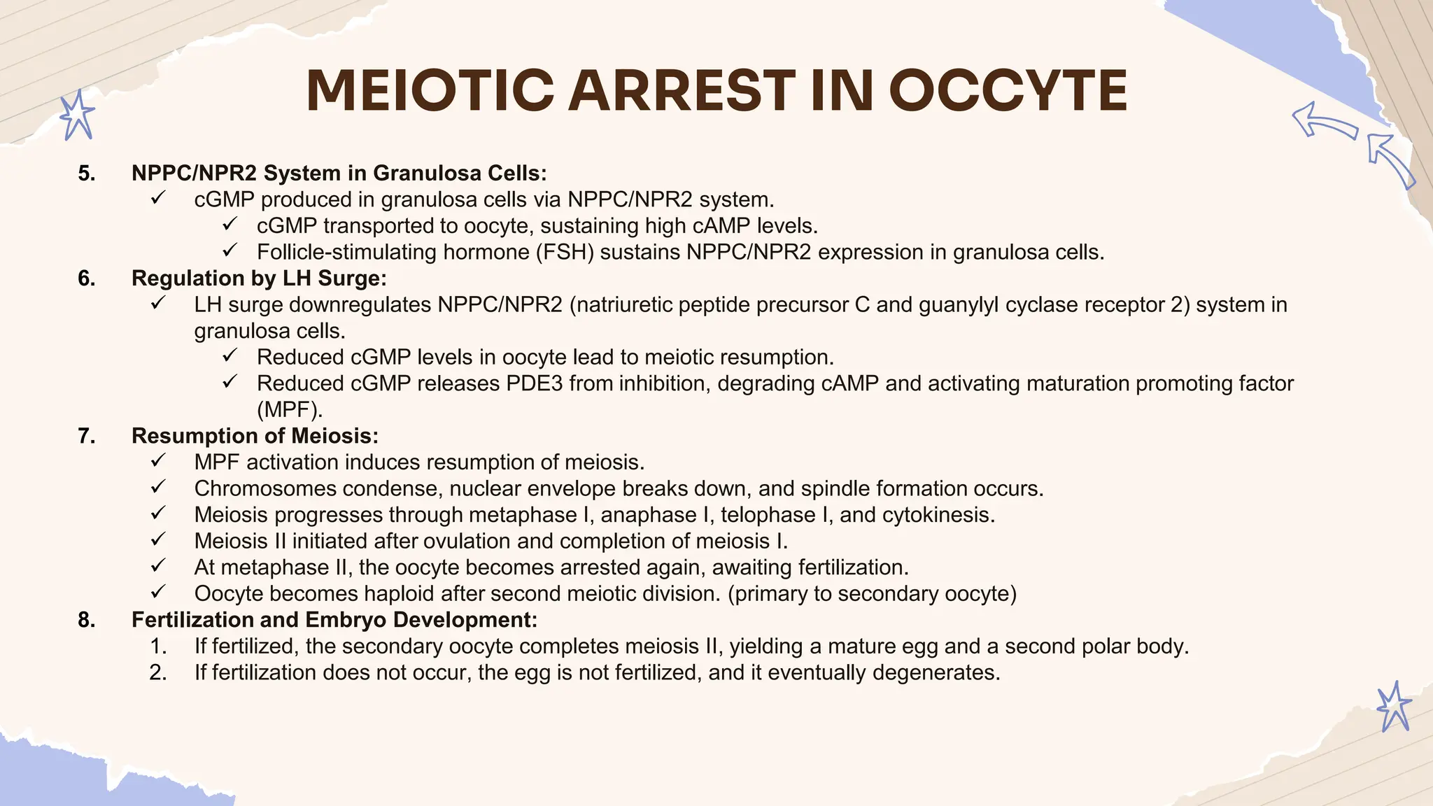 Cell cycle and cell division part 1 (meiosis) | PPTX