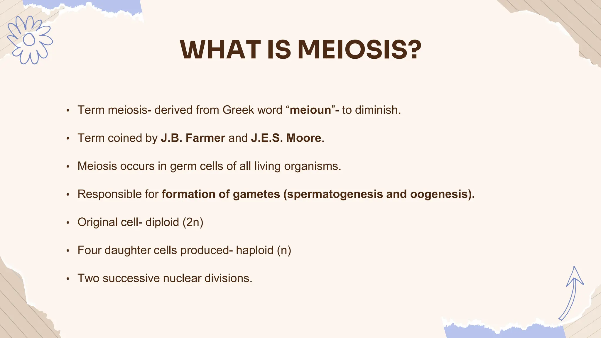 Cell cycle and cell division part 1 (meiosis) | PPT