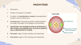 Cell cycle and cell division part 1 (meiosis) | PPT