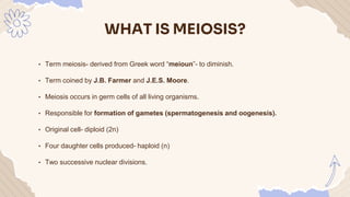 Cell cycle and cell division part 1 (meiosis) | PPTX