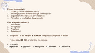 Cell cycle and cell division part 1 (meiosis) | PPT