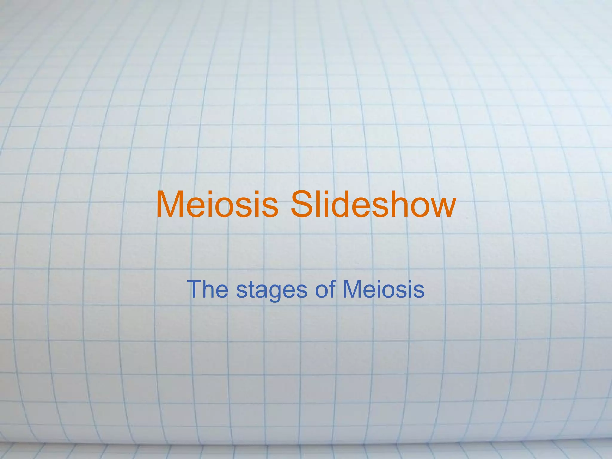 Meiosis Flipbook | PPT