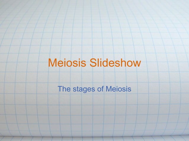Meiosis Flipbook | PPT