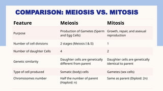 Meiosis vs. Mitosis: Cell Division Showdown.pptx