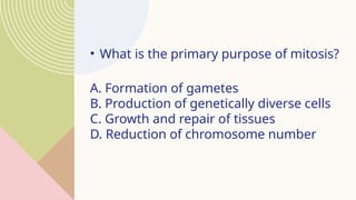 Meiosis vs. Mitosis: Cell Division Showdown.pptx