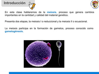 BIOLOGIA, MEIOSIS Y GAMETOGENESIS IMPORTNACIA.ppt