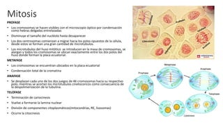 Meiosis y mitosis | PPT