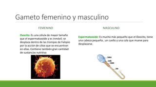 Meiosis y reproducción sexual | PPTX