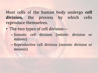 Meiotic cell division | PPSX