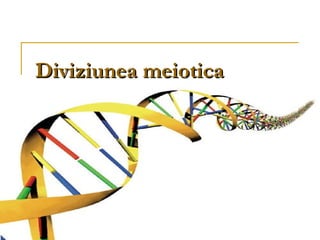 Meioza | PPT