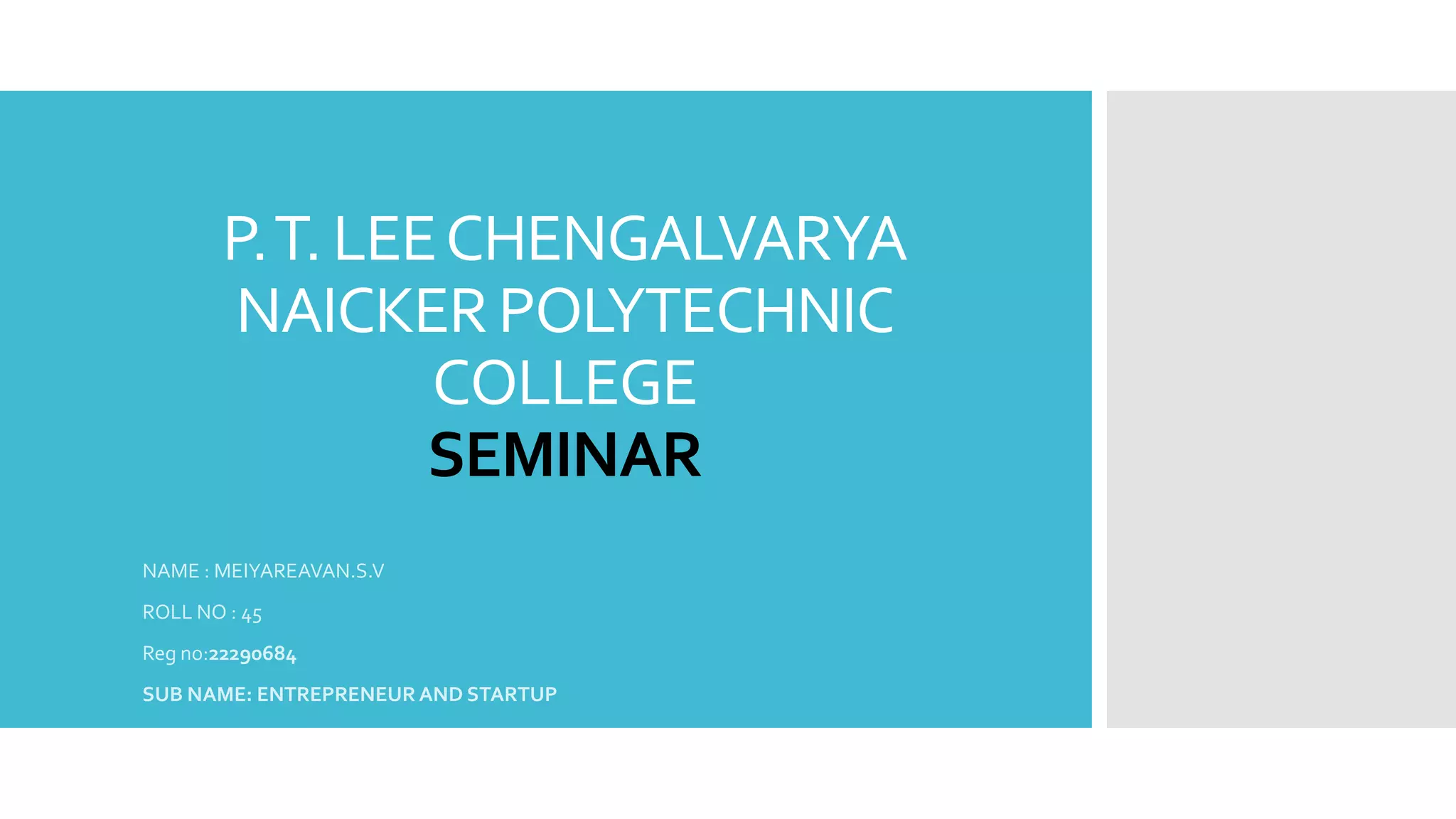 MEI Presentation (1).pptx