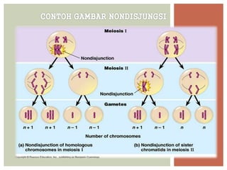 Gagal Berpisah, Pindah Silang dan Gen Letal | PPTX