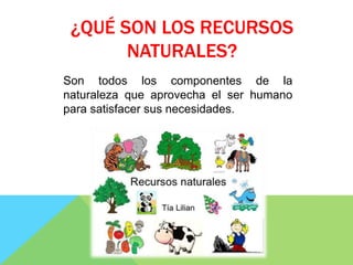 Los recursos naturales | PPTX