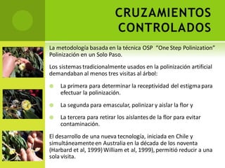 Mejoramiento genético de la especie eucalipto (Lineas híbridas ...