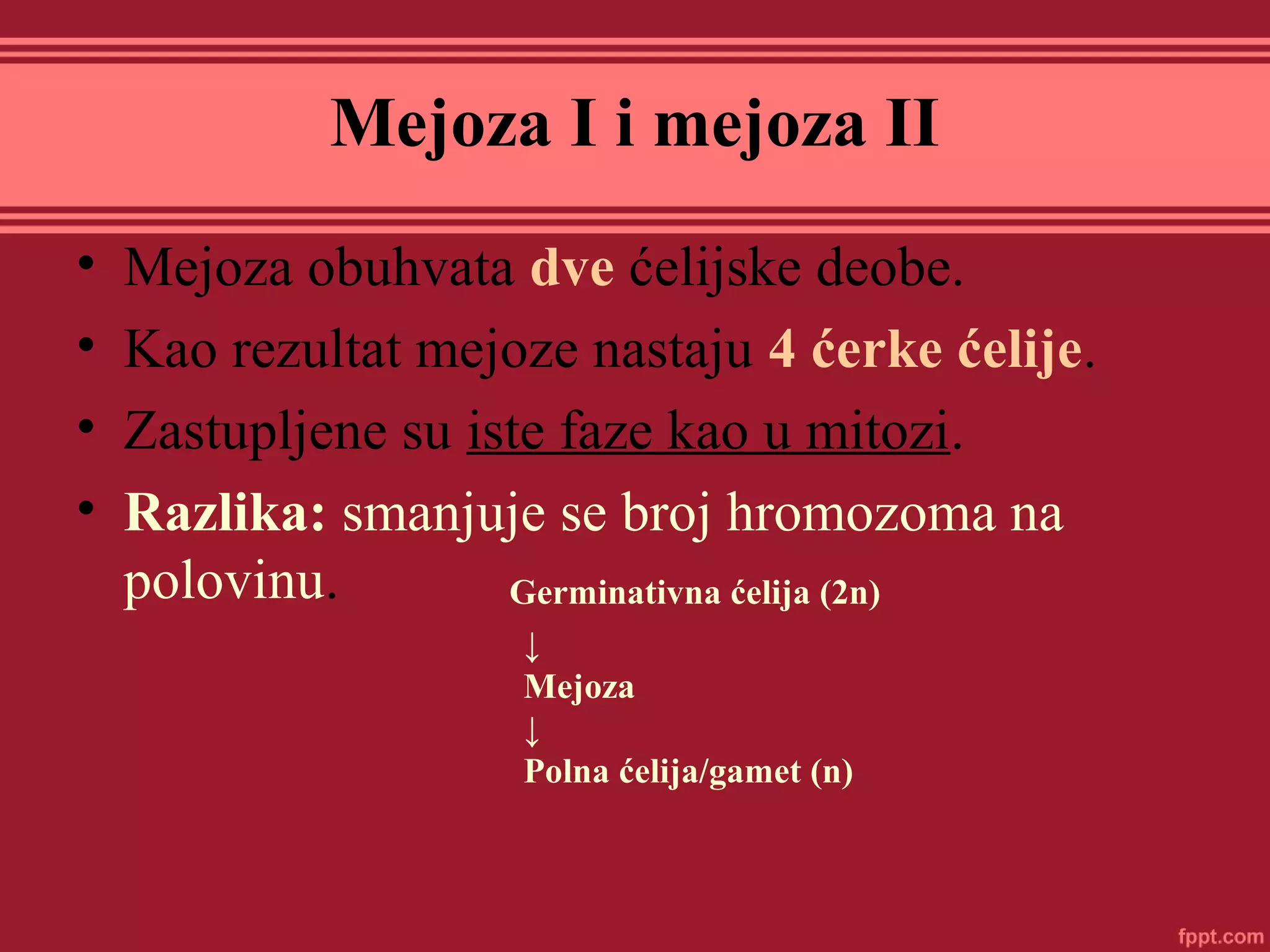 Mejoza | PPT
