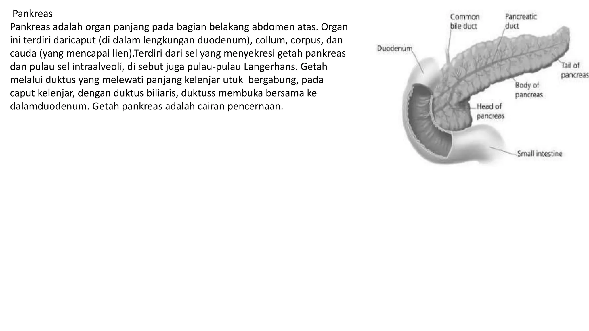 Mekanisme dan fungsi organ | PPTX