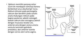 Mekanisme dan fungsi organ | PPTX