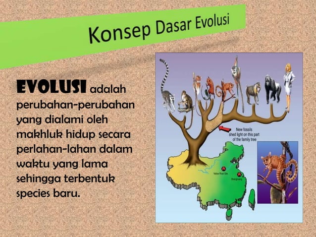 Mekanisme evolusi | PPTX