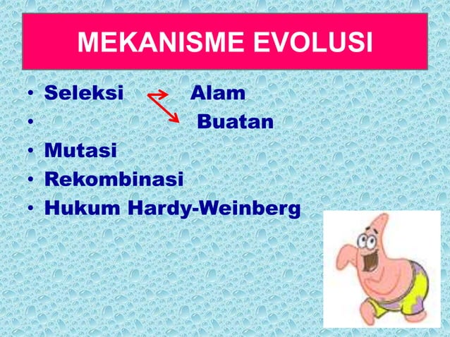Mekanisme evolusi | PPTX