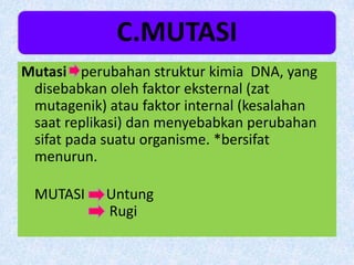 Mekanisme evolusi | PPTX