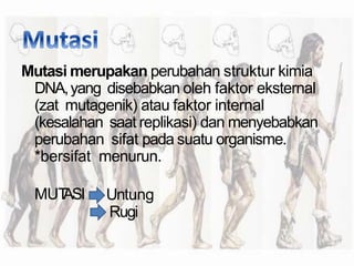 Mekanisme Evolusi.pptx