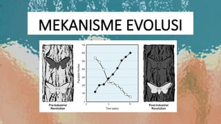 MEKANISME EVOLUSI SANGAT BAGUS DIPELAJARI UNTUK SISWA SMA | PPTX