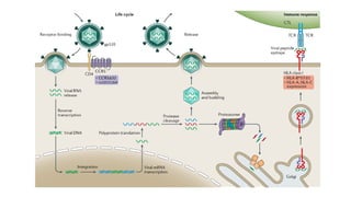 Mekanisme Immunogenetic Infeksi bawaan dan adaptif.pptx