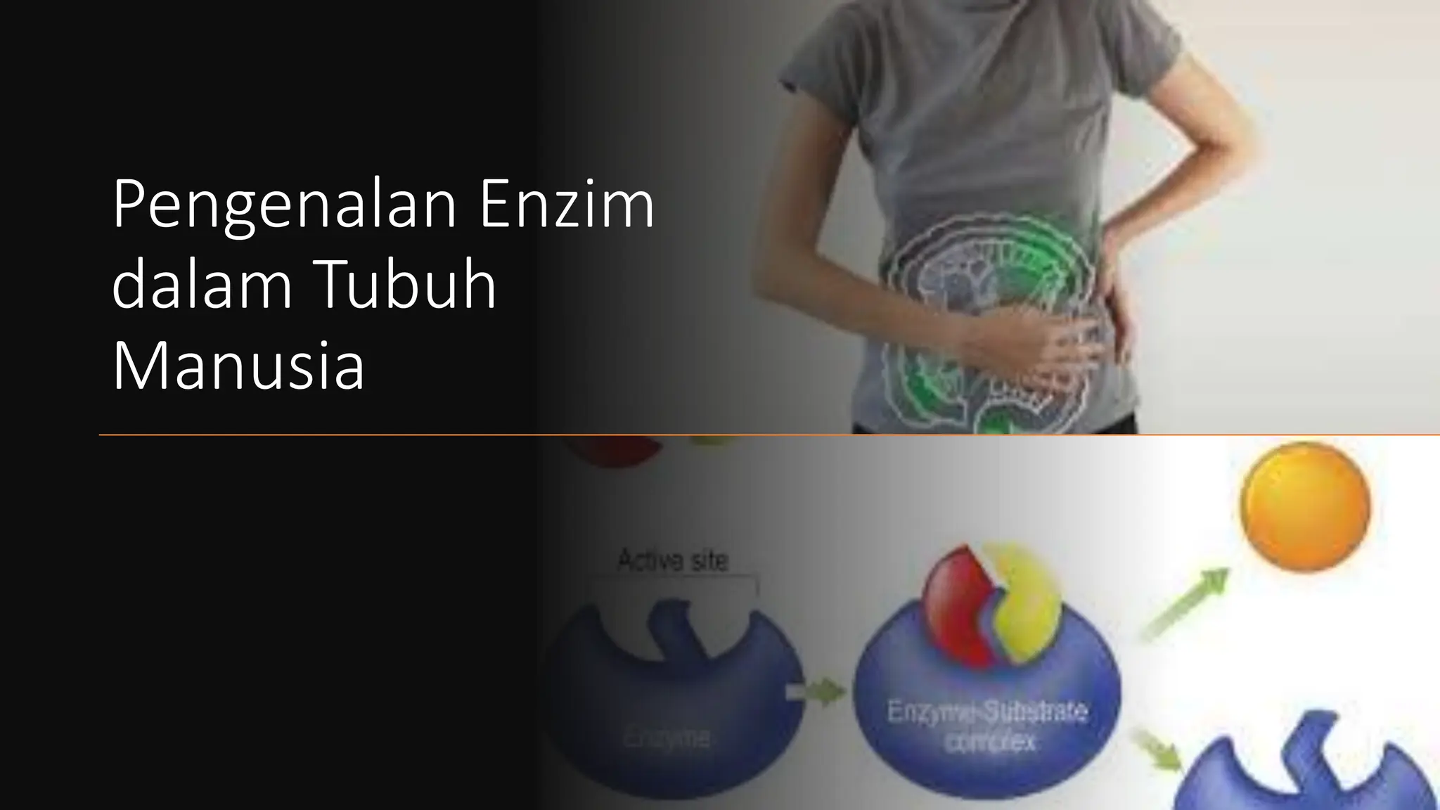 mekanisme kerja enzim.pptx