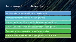 mekanisme kerja enzim.pptx