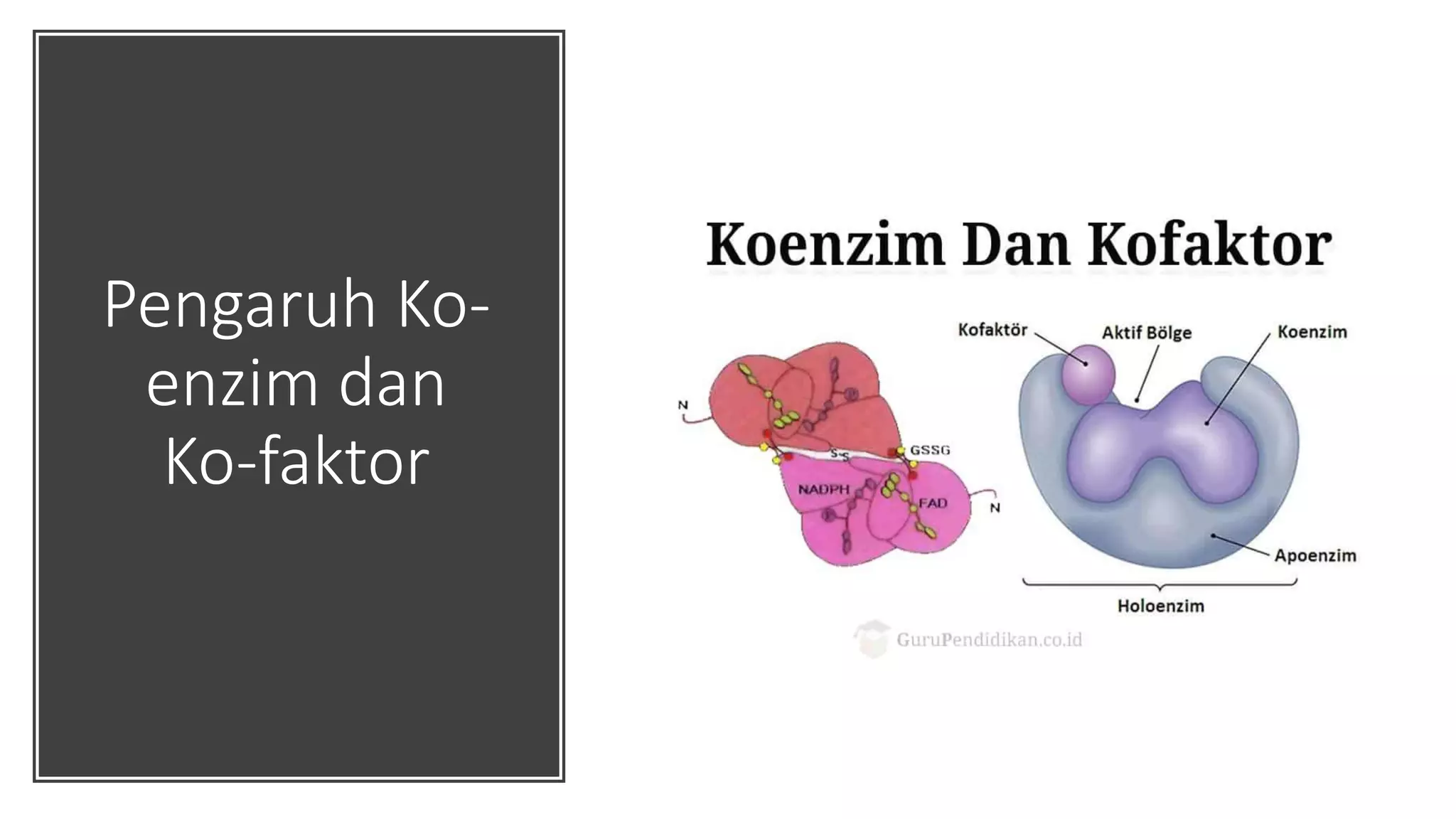 MEKANISME KERJA ENZIM DALAM PROSES BIOKIMIA.pptx
