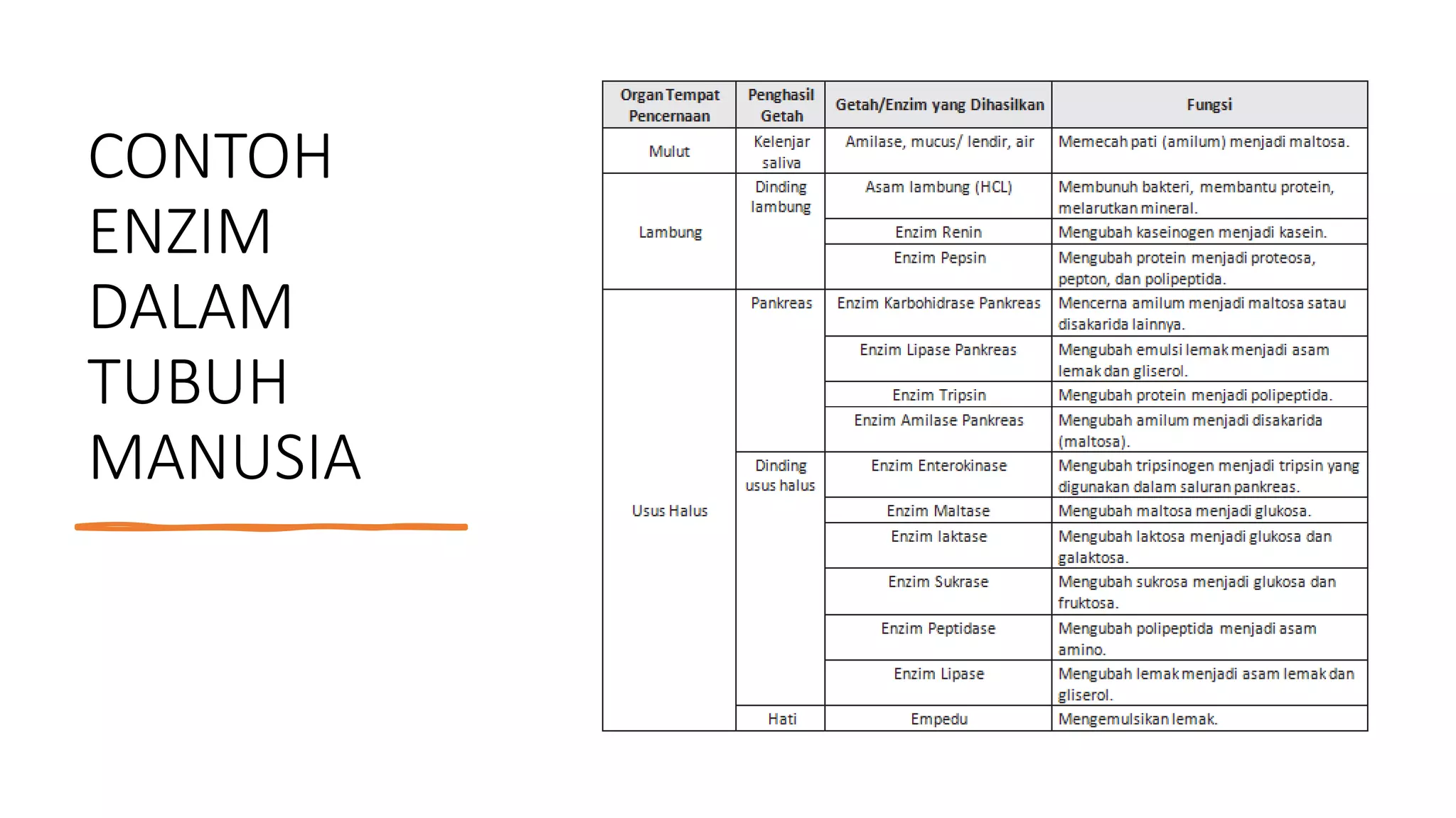 MEKANISME KERJA ENZIM DALAM PROSES BIOKIMIA.pptx