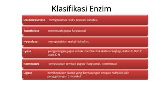 MEKANISME KERJA ENZIM DALAM PROSES BIOKIMIA.pptx
