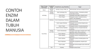 MEKANISME KERJA ENZIM DALAM PROSES BIOKIMIA.pptx
