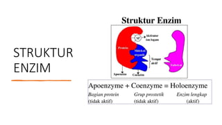 MEKANISME KERJA ENZIM DALAM PROSES BIOKIMIA.pptx