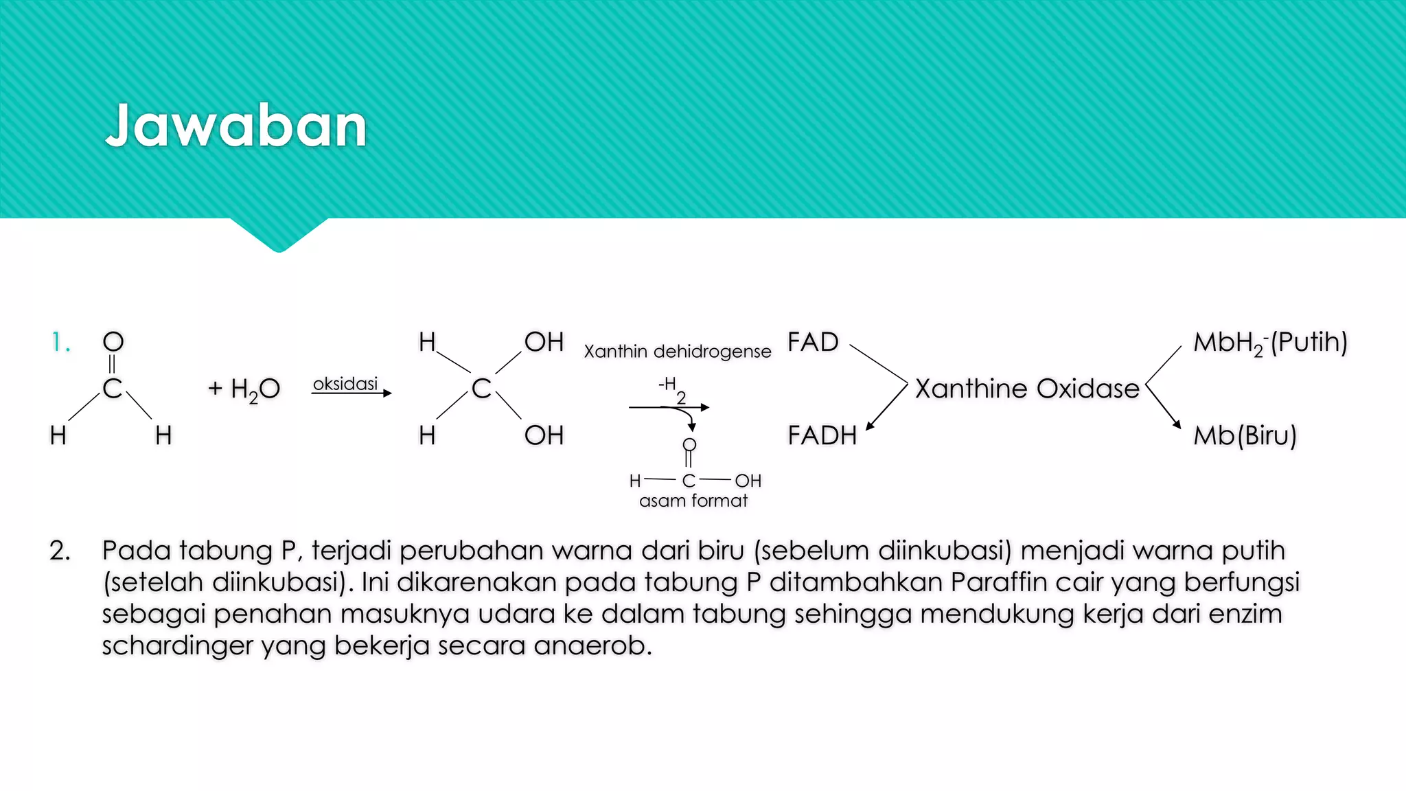 Mekanisme Kerja Enzim Schardinger | PPTX