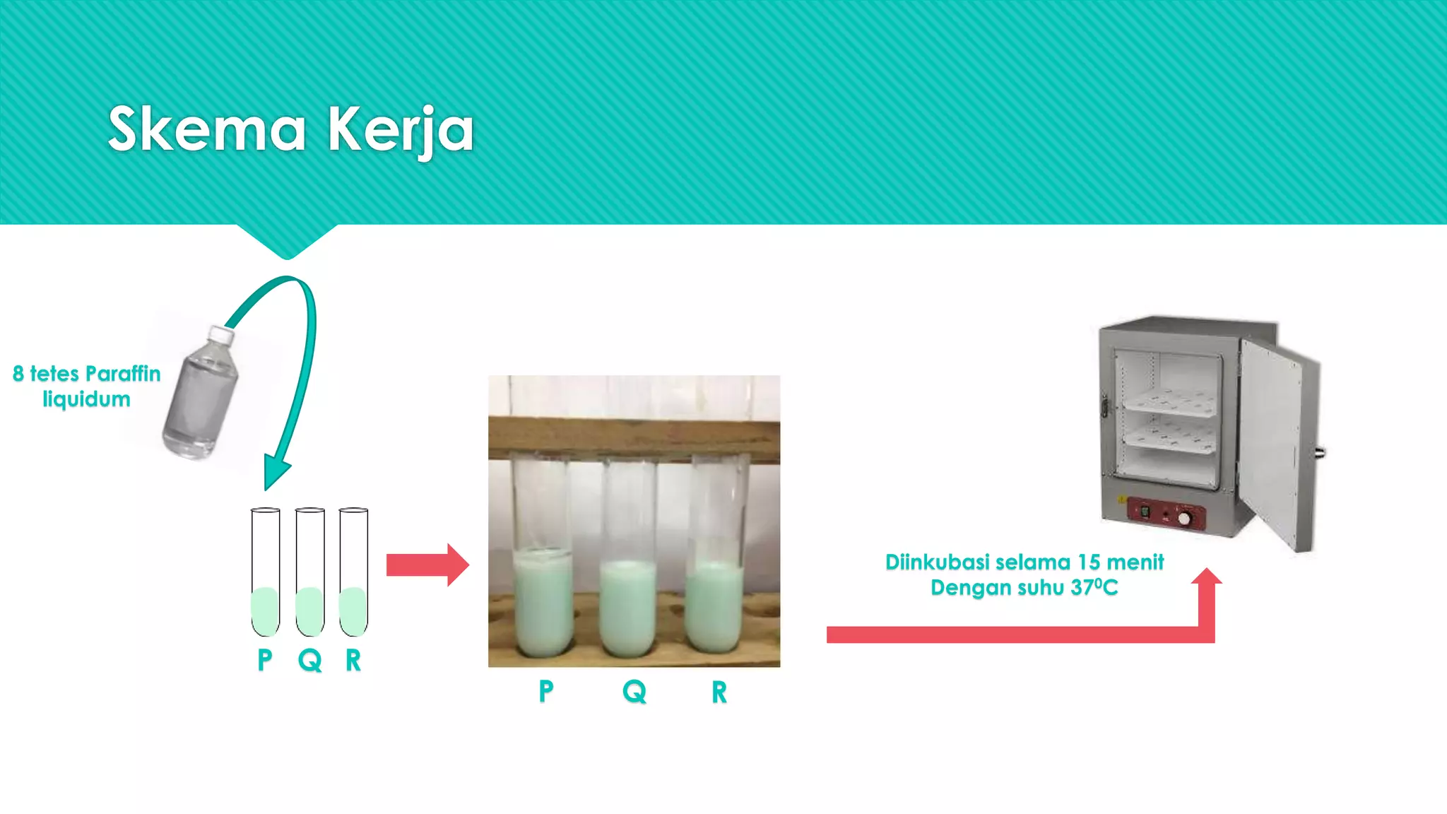 Mekanisme Kerja Enzim Schardinger | PPTX