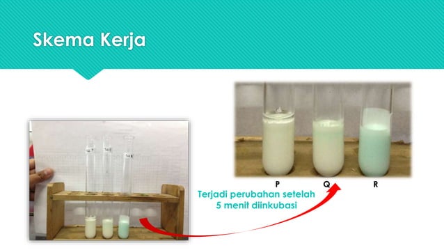 Mekanisme Kerja Enzim Schardinger | PPTX