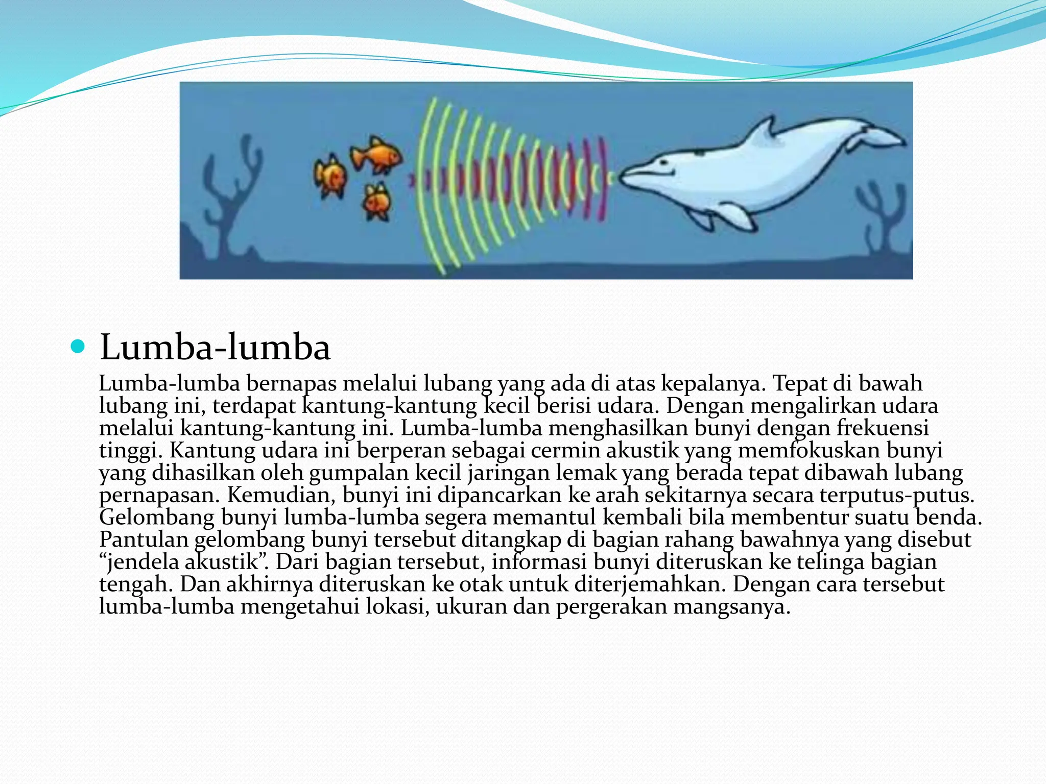 Mekanisme Mendengar Pada Manusia dan Hewan.pptx