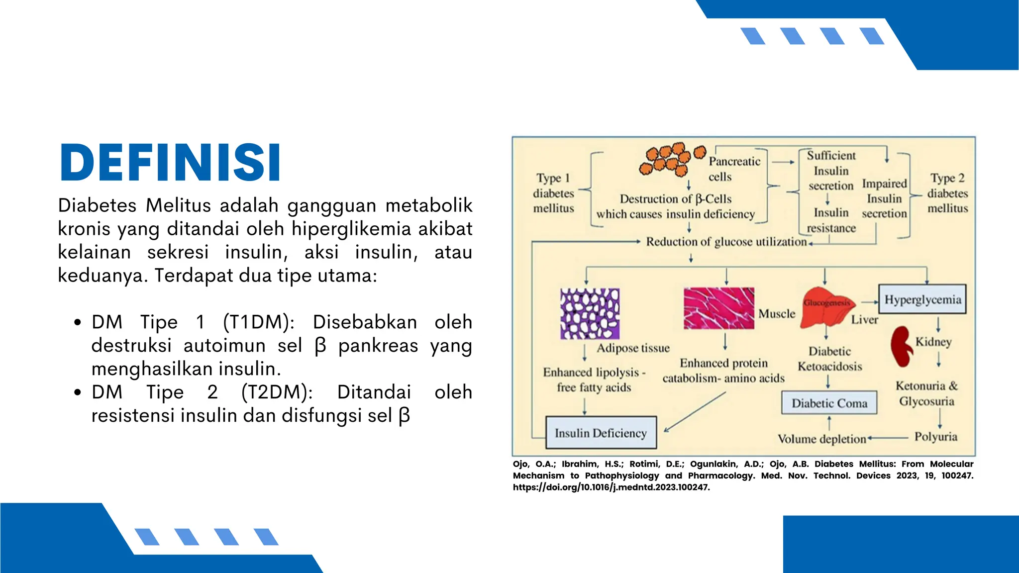 MEKANISME MOLEKULAR PATOFISIOLOGI DIABETES MELITUS.pdf