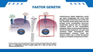 MEKANISME MOLEKULAR PATOFISIOLOGI DIABETES MELITUS.pdf