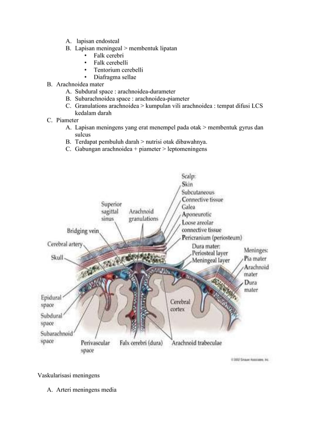 Mekanisme muntah proyektil | DOC