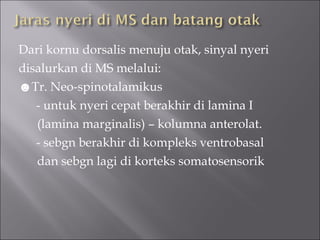 Mekanisme nyeri | PPT