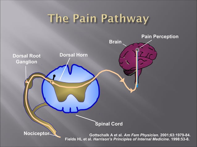 Mekanisme nyeri | PPT