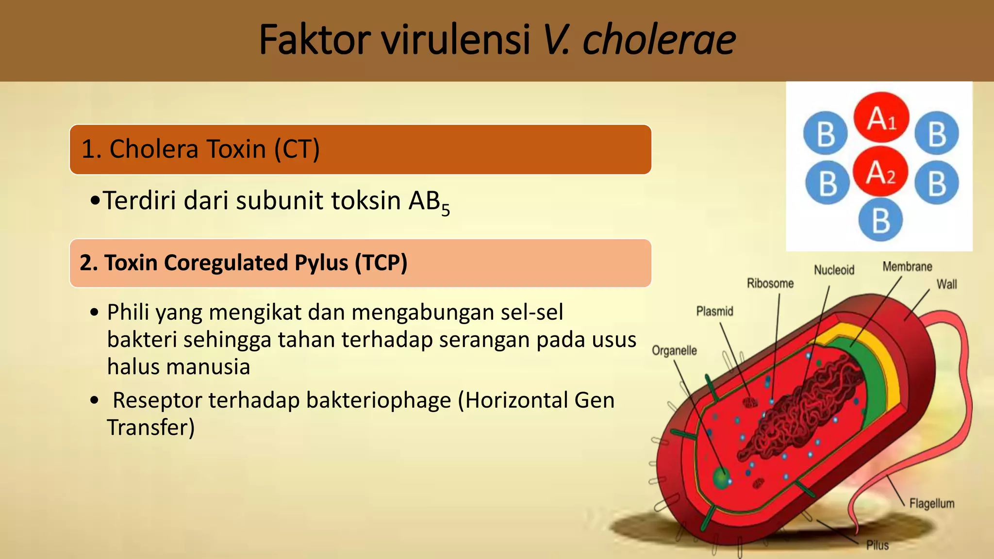 Mekanisme patogenisitas vibrio cholera | PPTX
