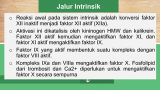 MEKANISME PEMBEKUAN.pptx