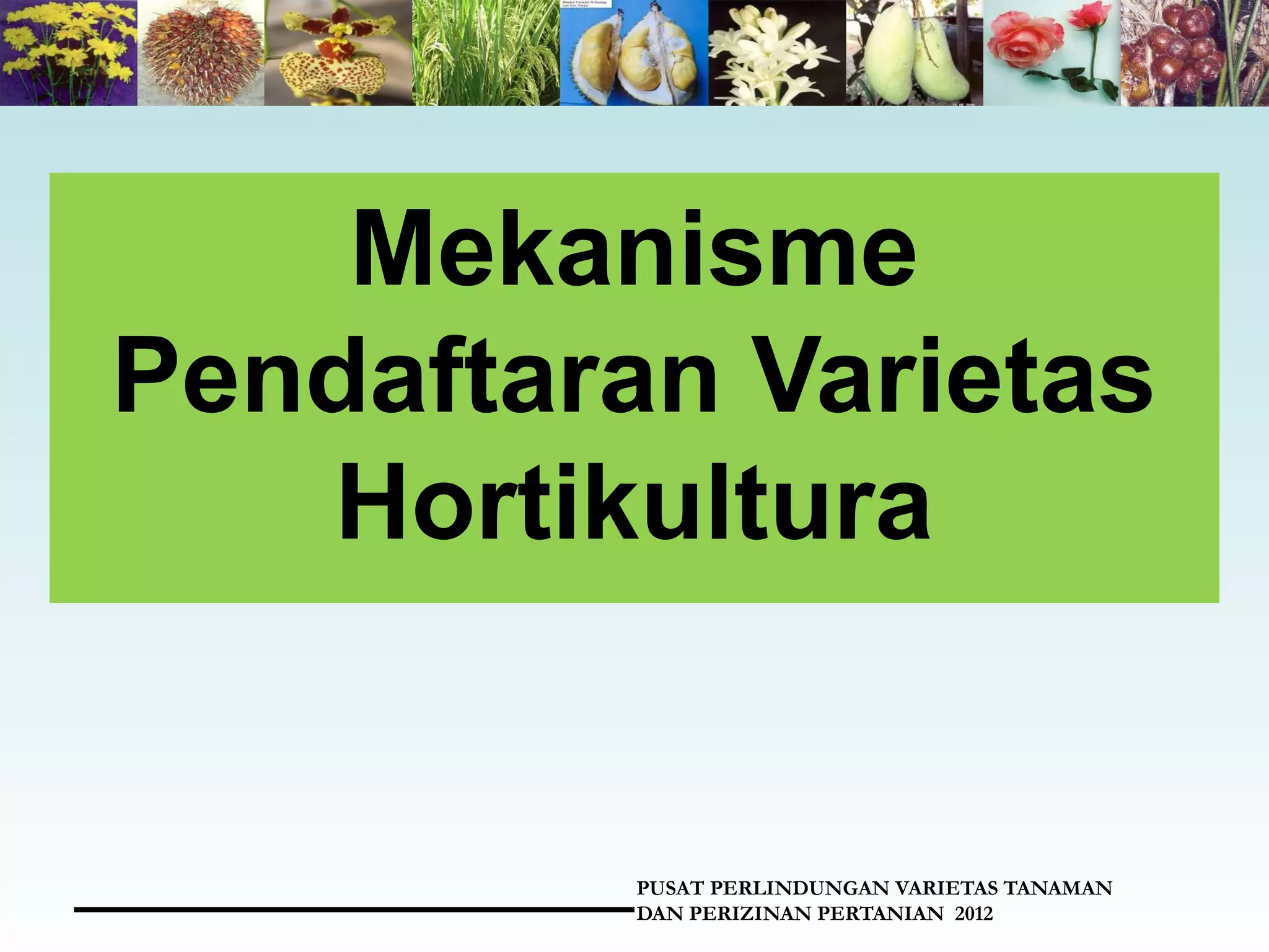 Mekanisme pendaftaran horti | PPT