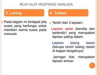 Mekanisme pernapasan.ppt